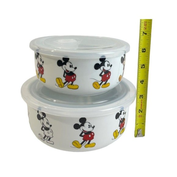 Disney | Kitchen | Zb Zrike Brands Disney Mickey Mouse Dishwasher ...